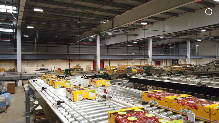 Savéol is automating the production of its famous cherry tomatoes | KUKA AG