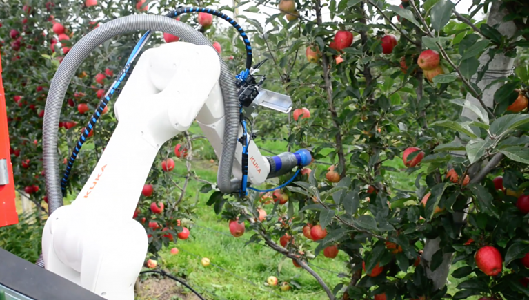 Automated apple harvesting: Please quite gently! | KUKA